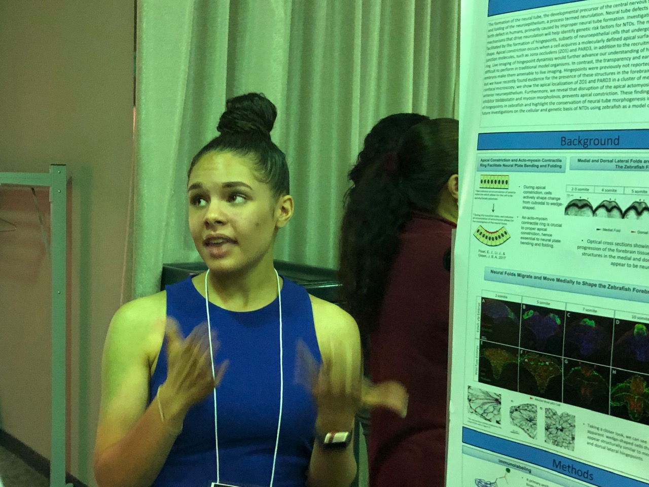 Lab Photos – Welcome to the Brewster Lab! – UMBC